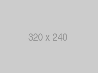 MOBILIFT (UP TO 75 TONS) - Guy M Turner, Inc.